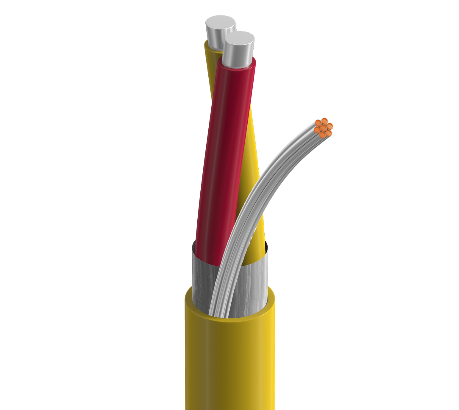 Type PLTC Cable - 3112A