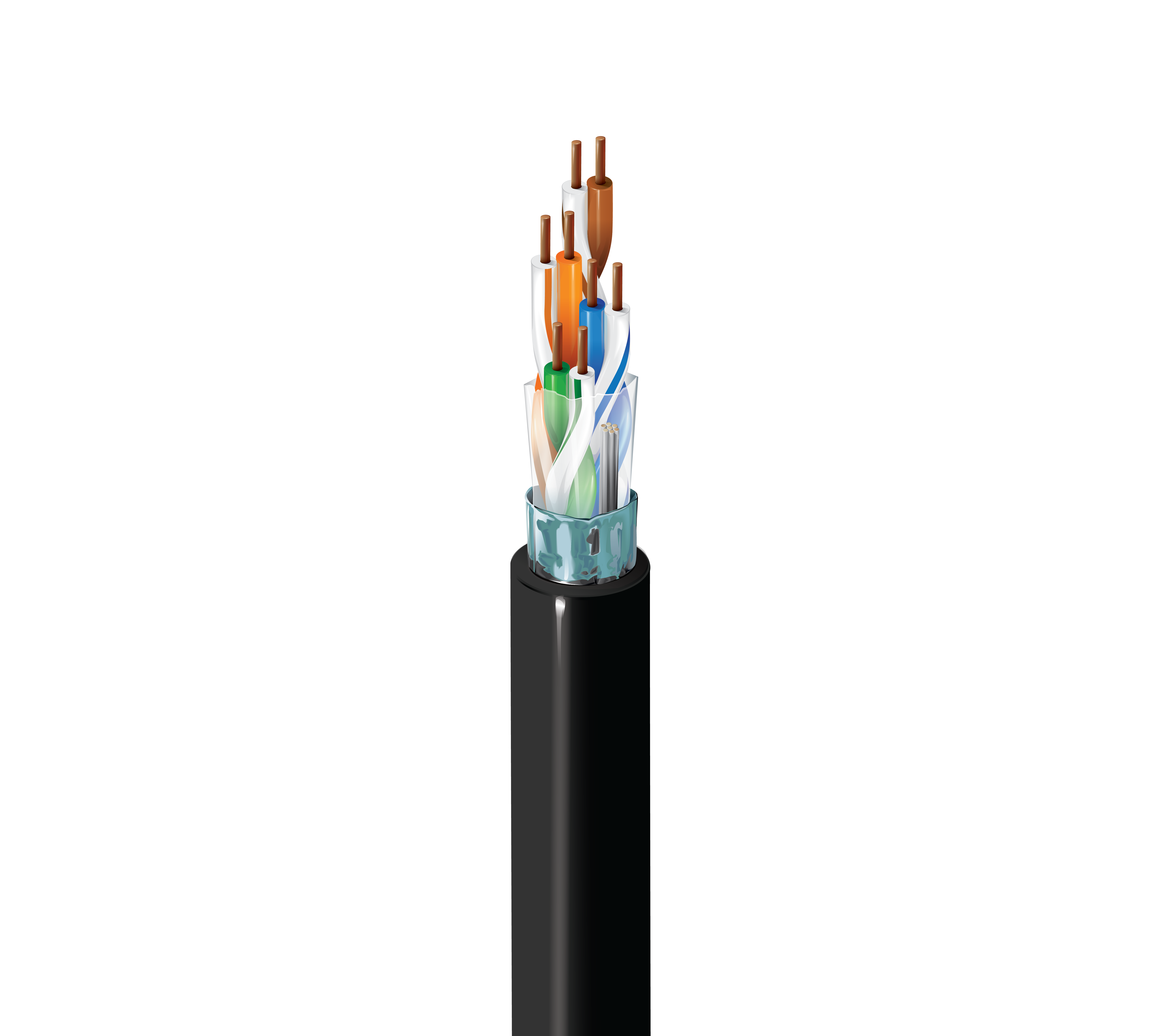 Category 5e Cable - 1212F