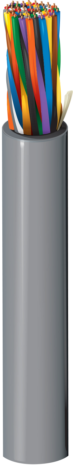 Category 5e Cable - IBDN25P