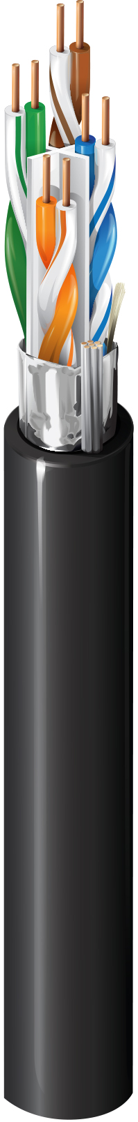 Category 6 Cable - 2149A