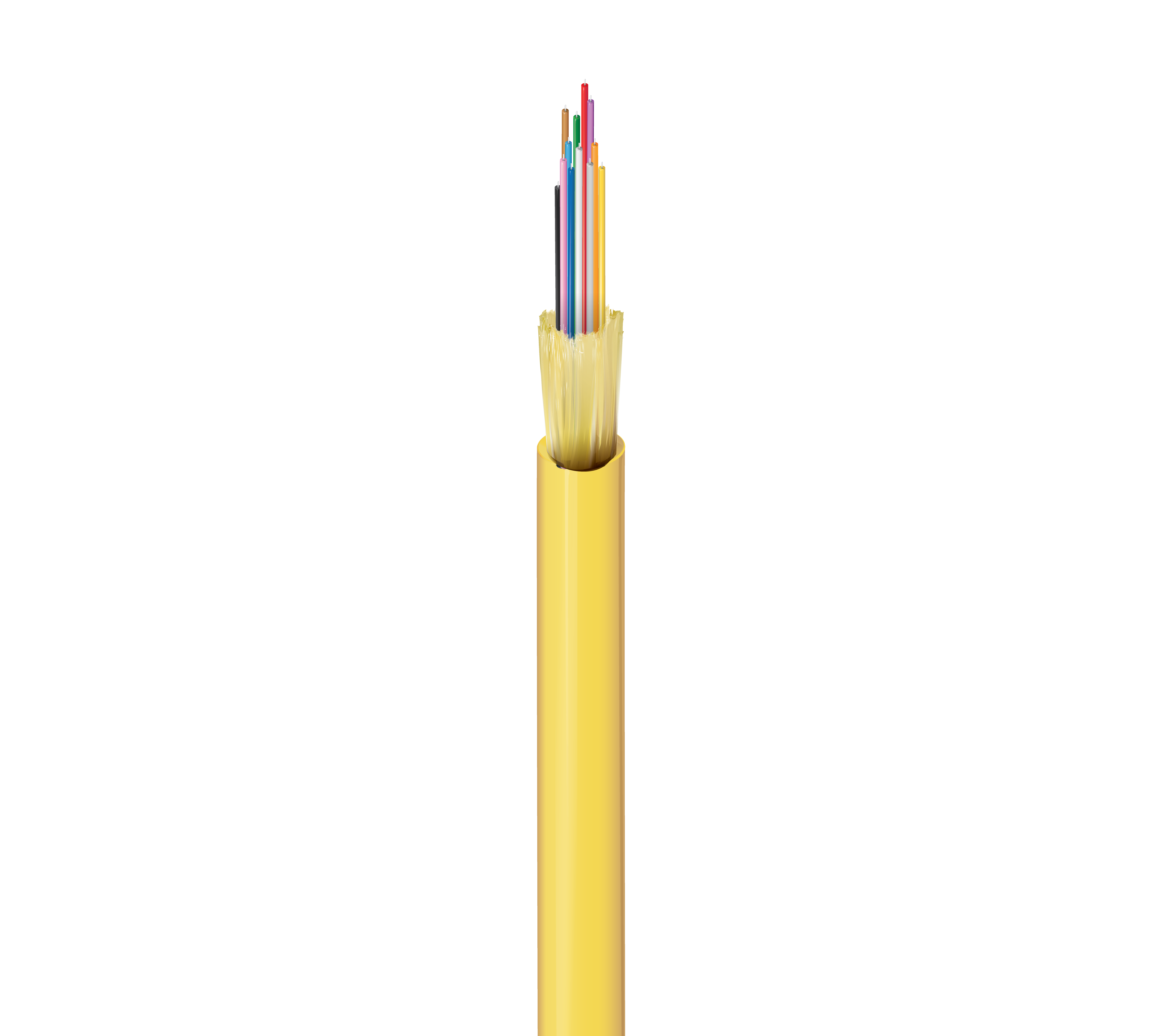 Interconnect Fiber Cable - FISI012P0