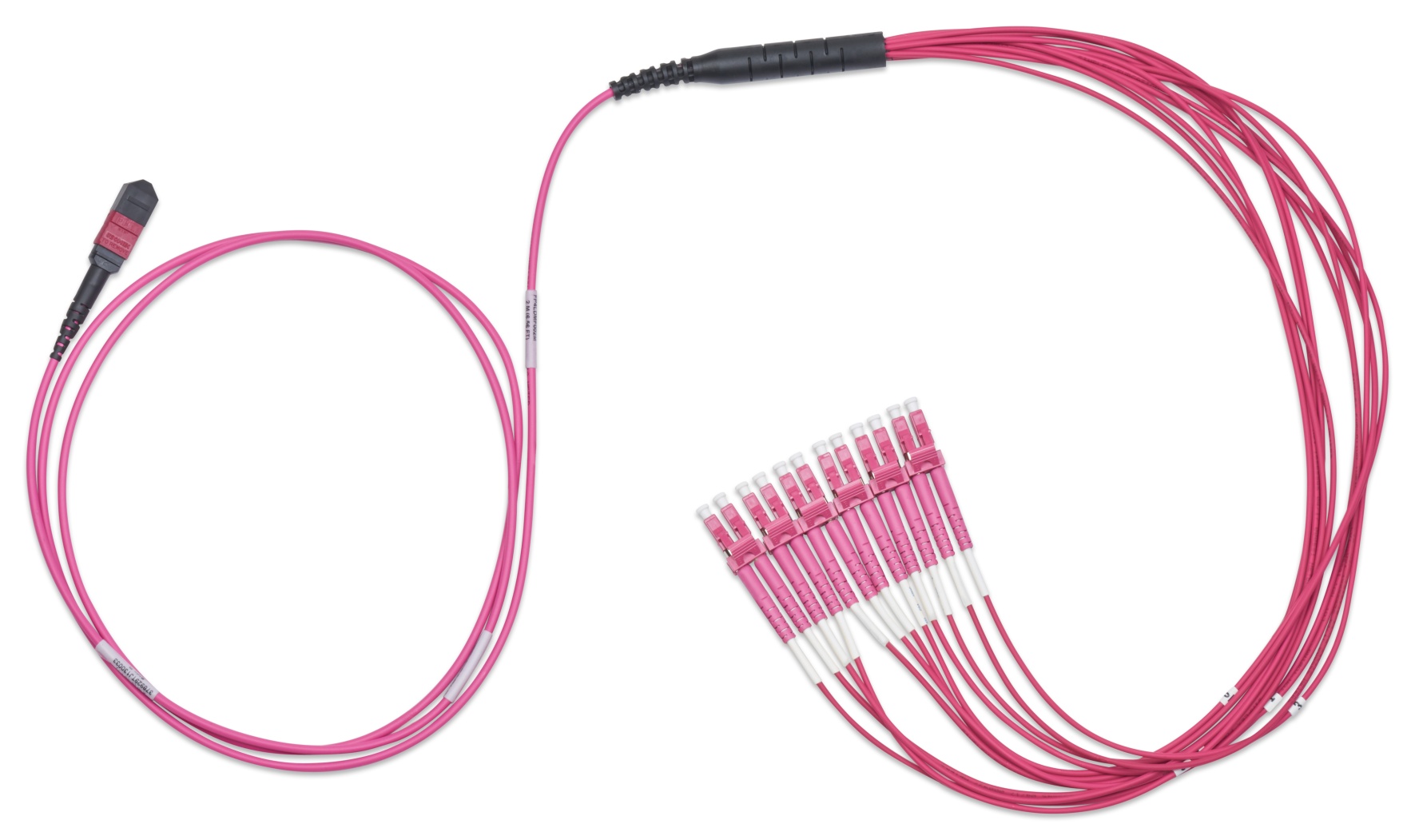 Hydra Patch Cords - FP4LDMF003M