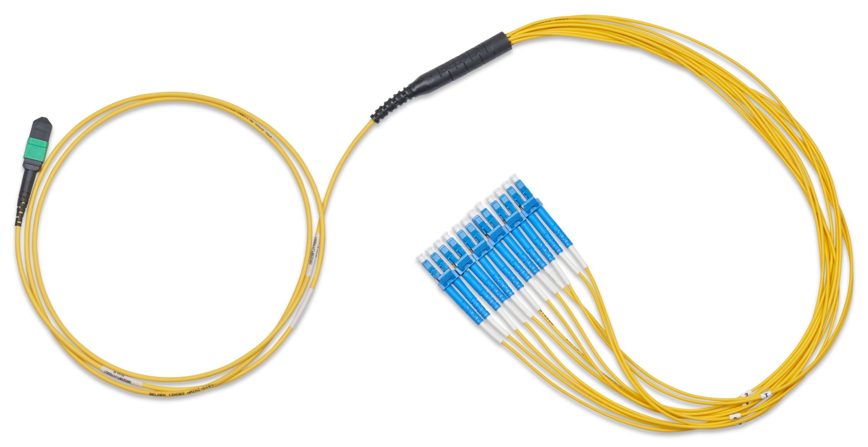 Hydra Patch Cords - FPSLDMFxxxM