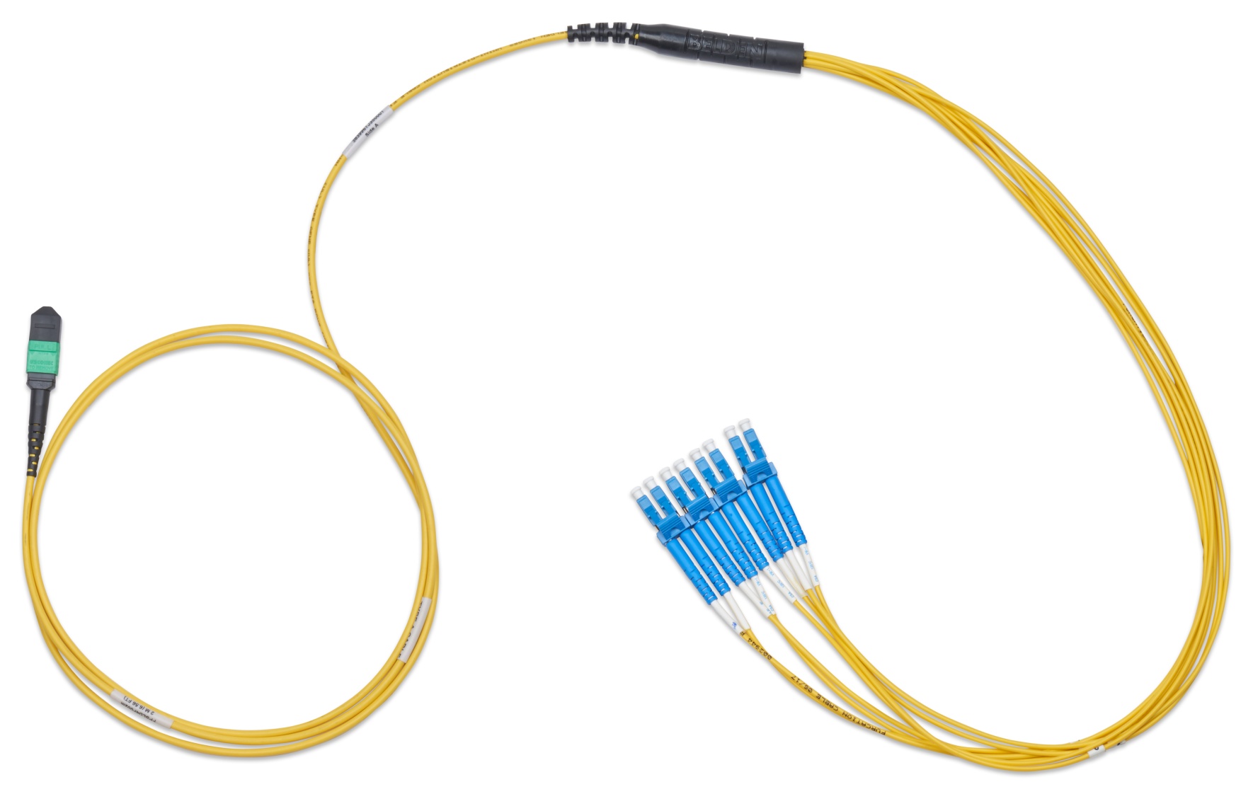 Hydra Patch Cords - AX110279