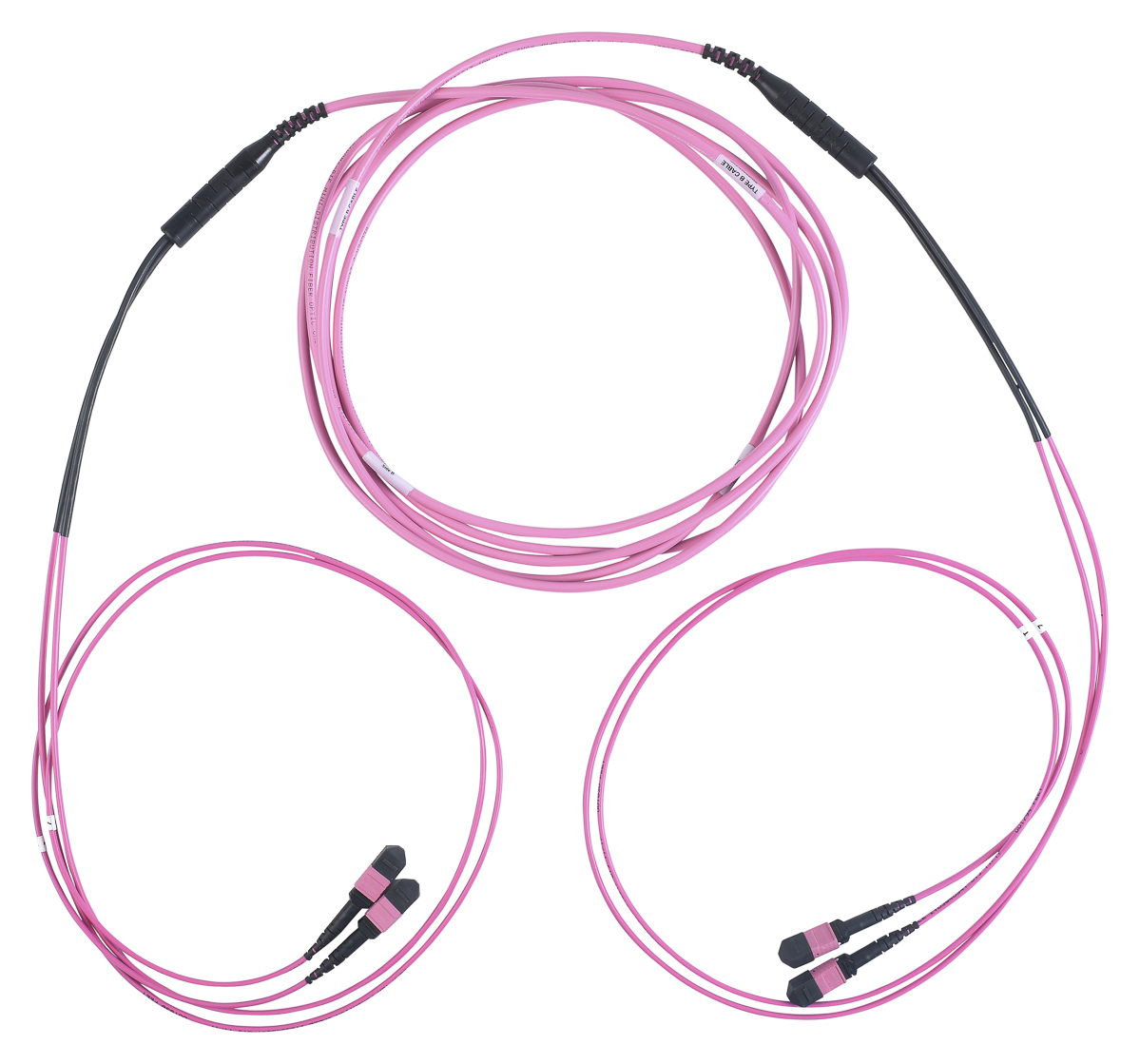 MPO Trunks - FM44MB2xxxMPMEE