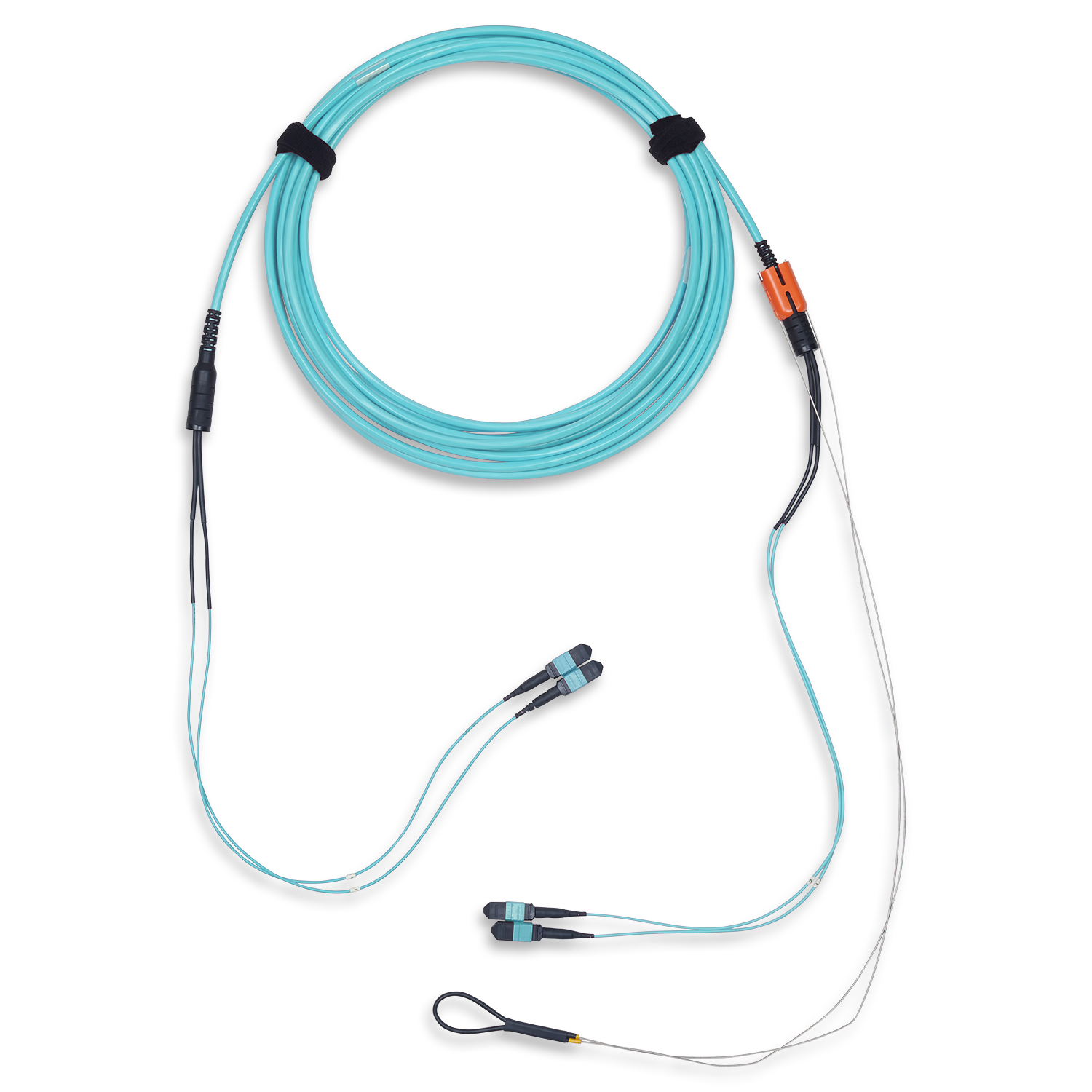 MPO Trunks - FM3MMB2xxxM