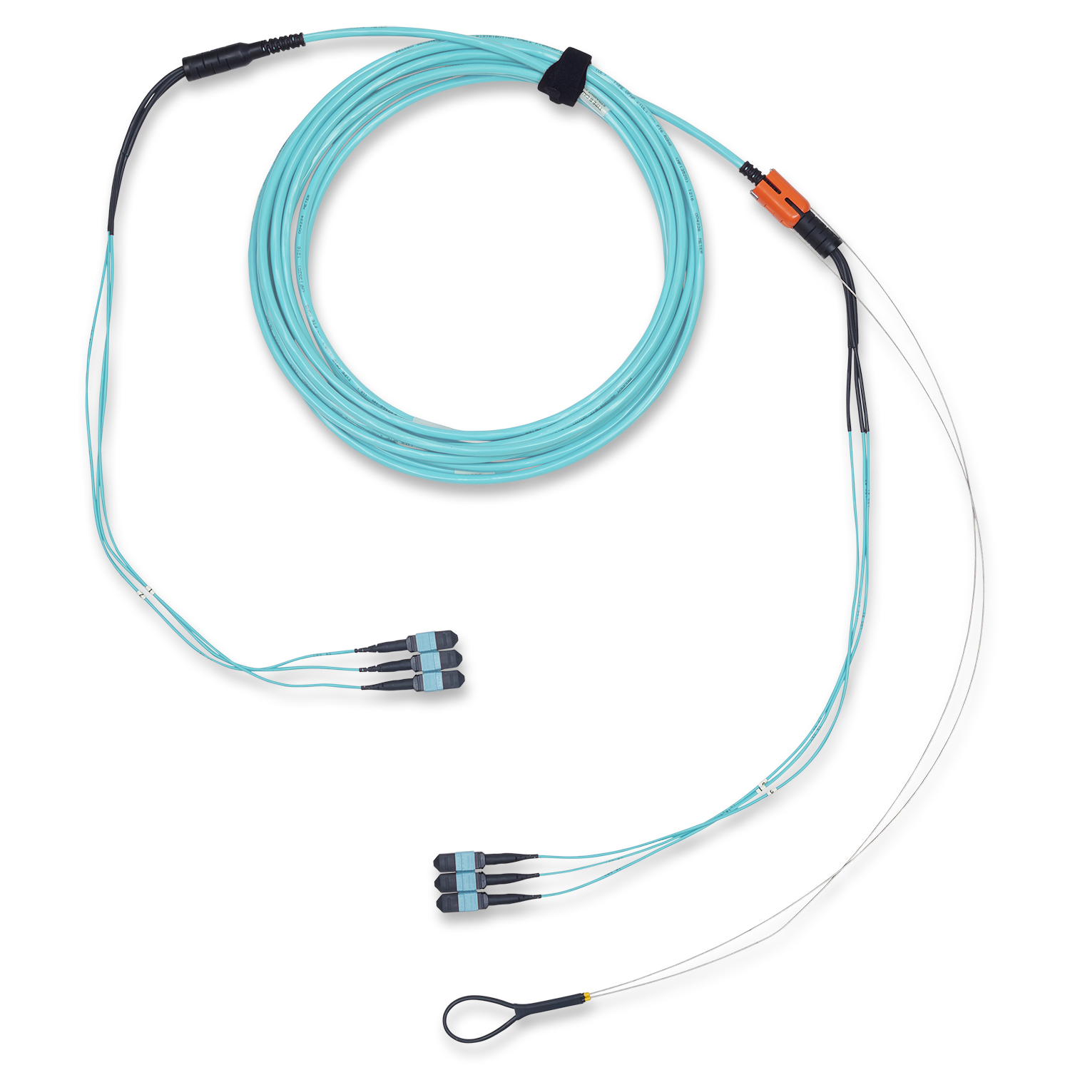 MPO Trunks - FM3MMB3xxxM