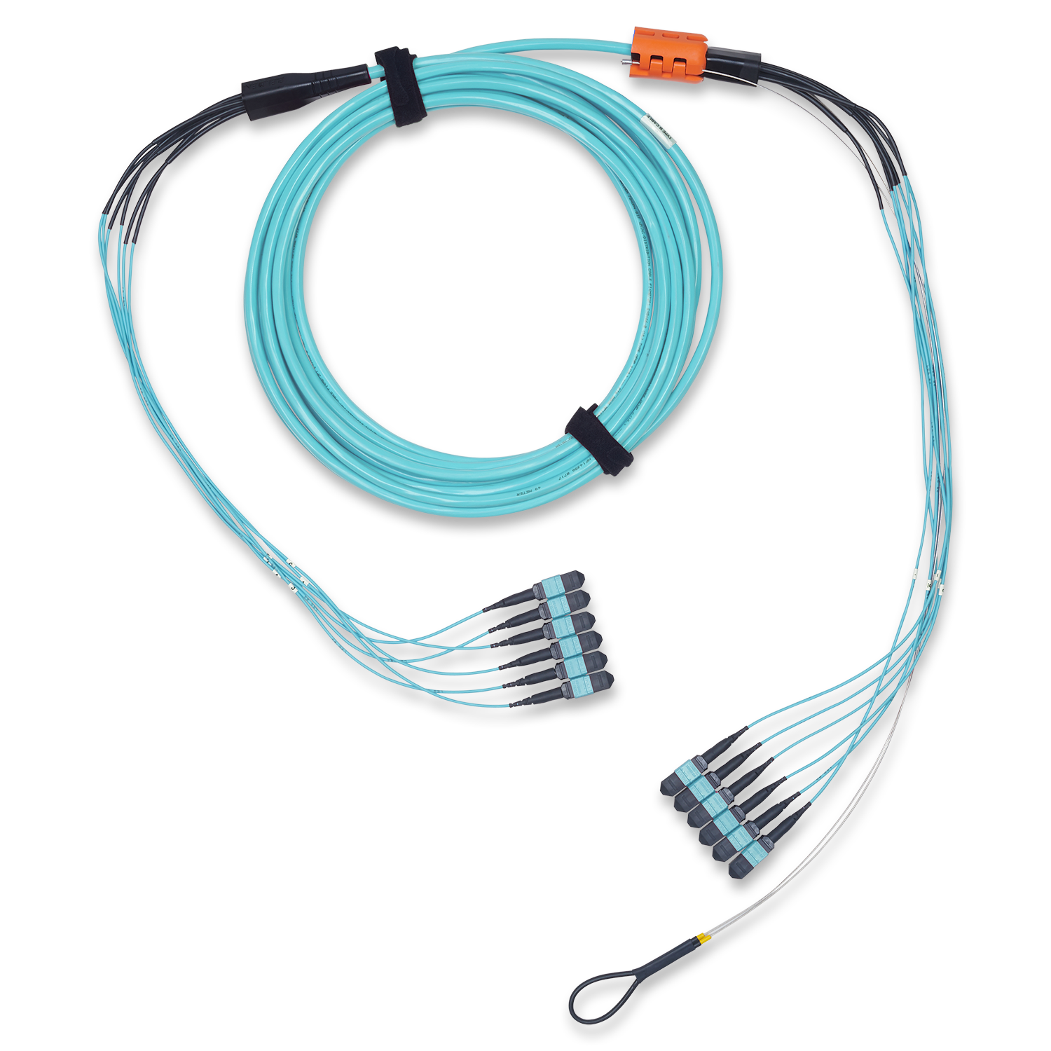 MPO Trunks - FM3MMB6xxxMPUEA