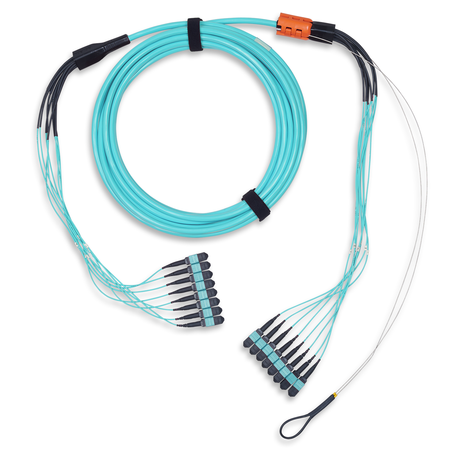 MPO Trunks - FM3MMB8xxxM