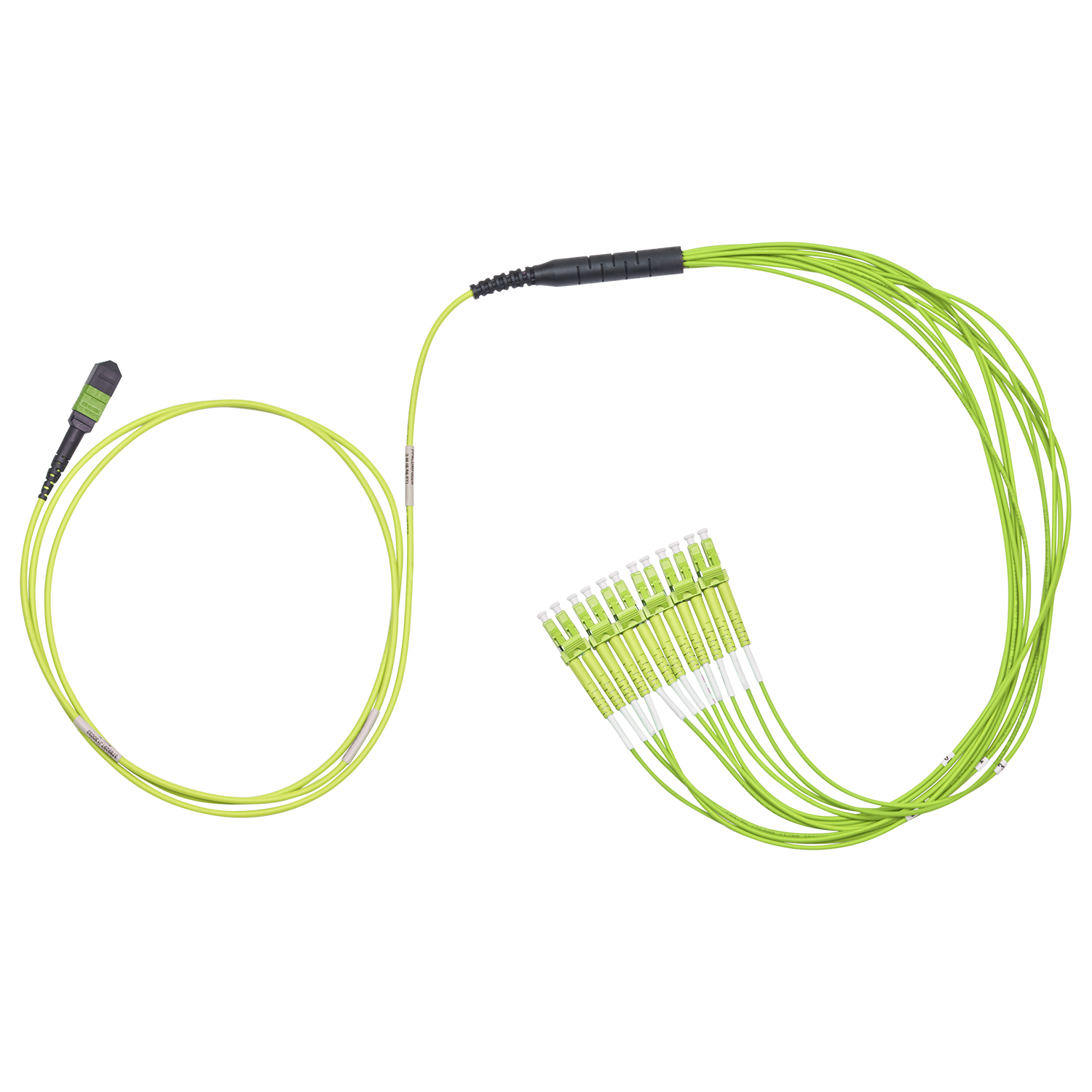 Hydra Patch Cords - FP5LDMF003M