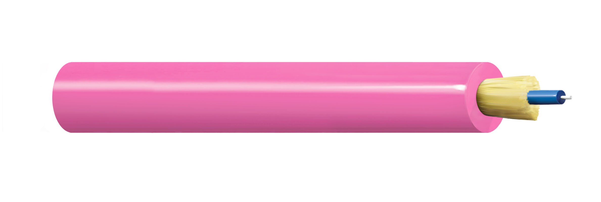 Interconnect Fiber Cable - GIPSEE1