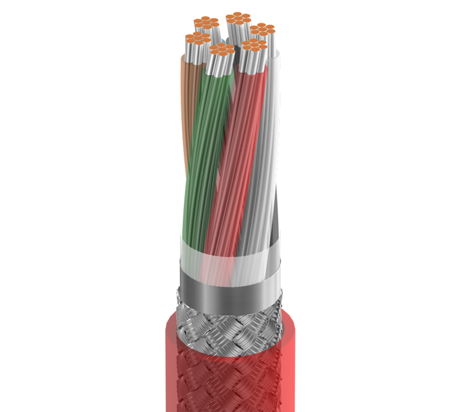 belden global catalog