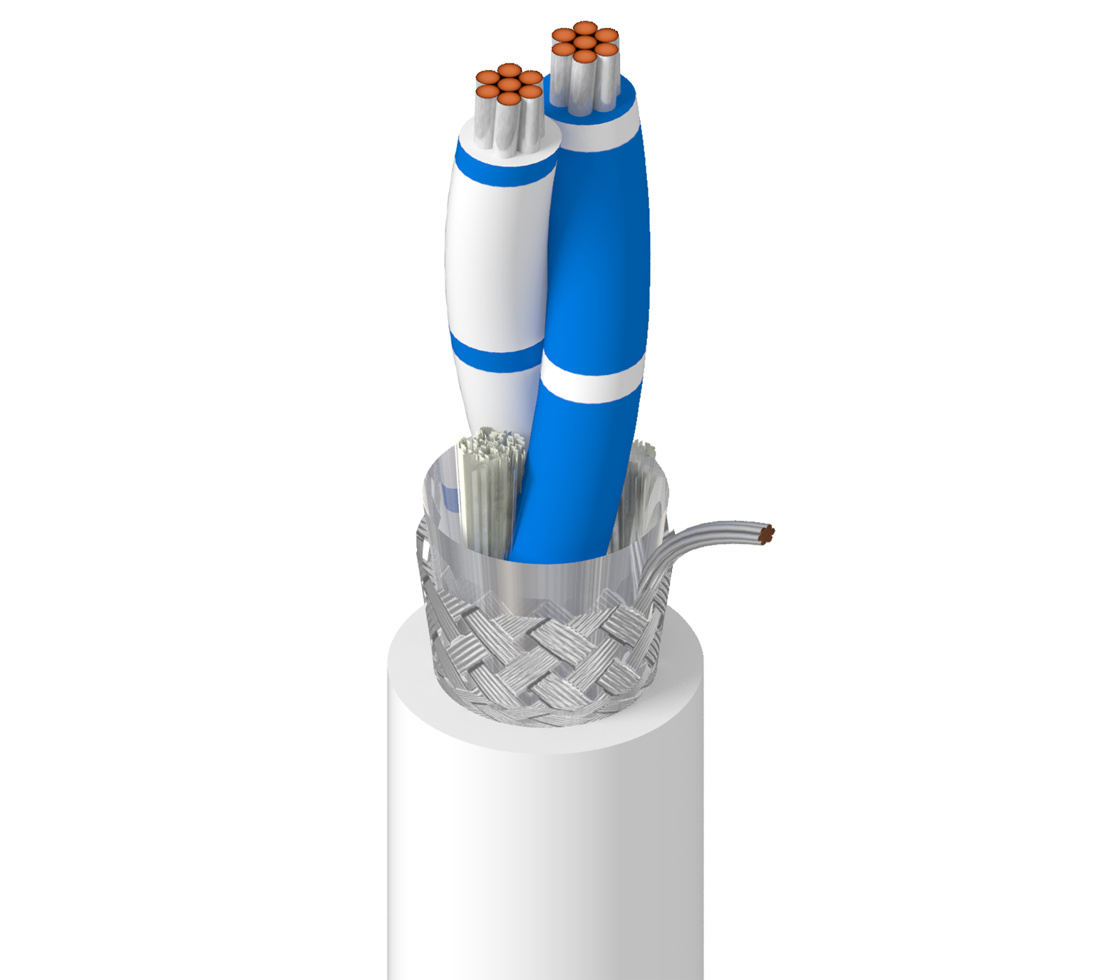 belden global catalog