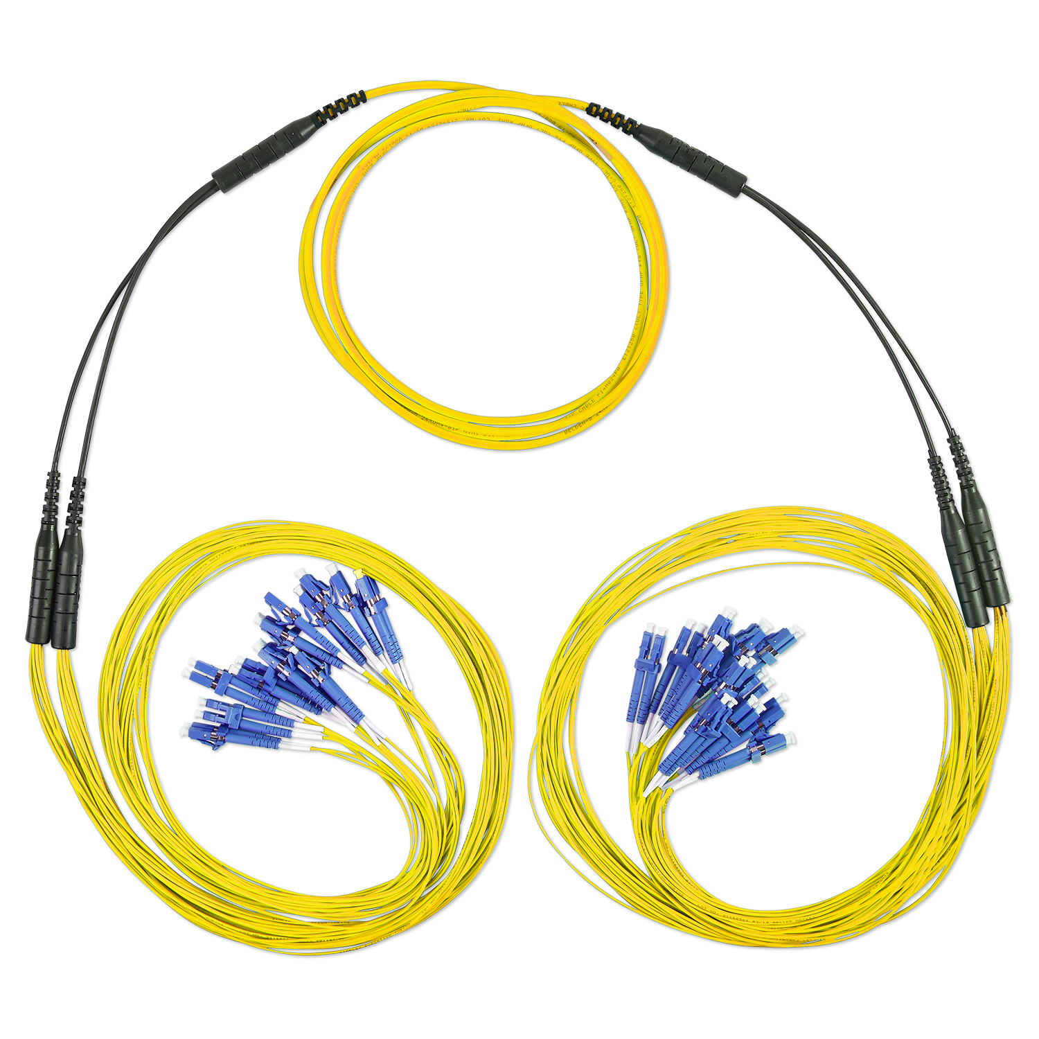 Multi-Fiber Trunks - AS24LDELDEP003M